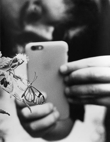 Jochen Lempert Fotos an Büchern (Photos around Books) | Camera Austria