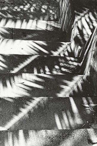 Jochen Lempert Fotos an Büchern (Photos around Books) | Camera Austria